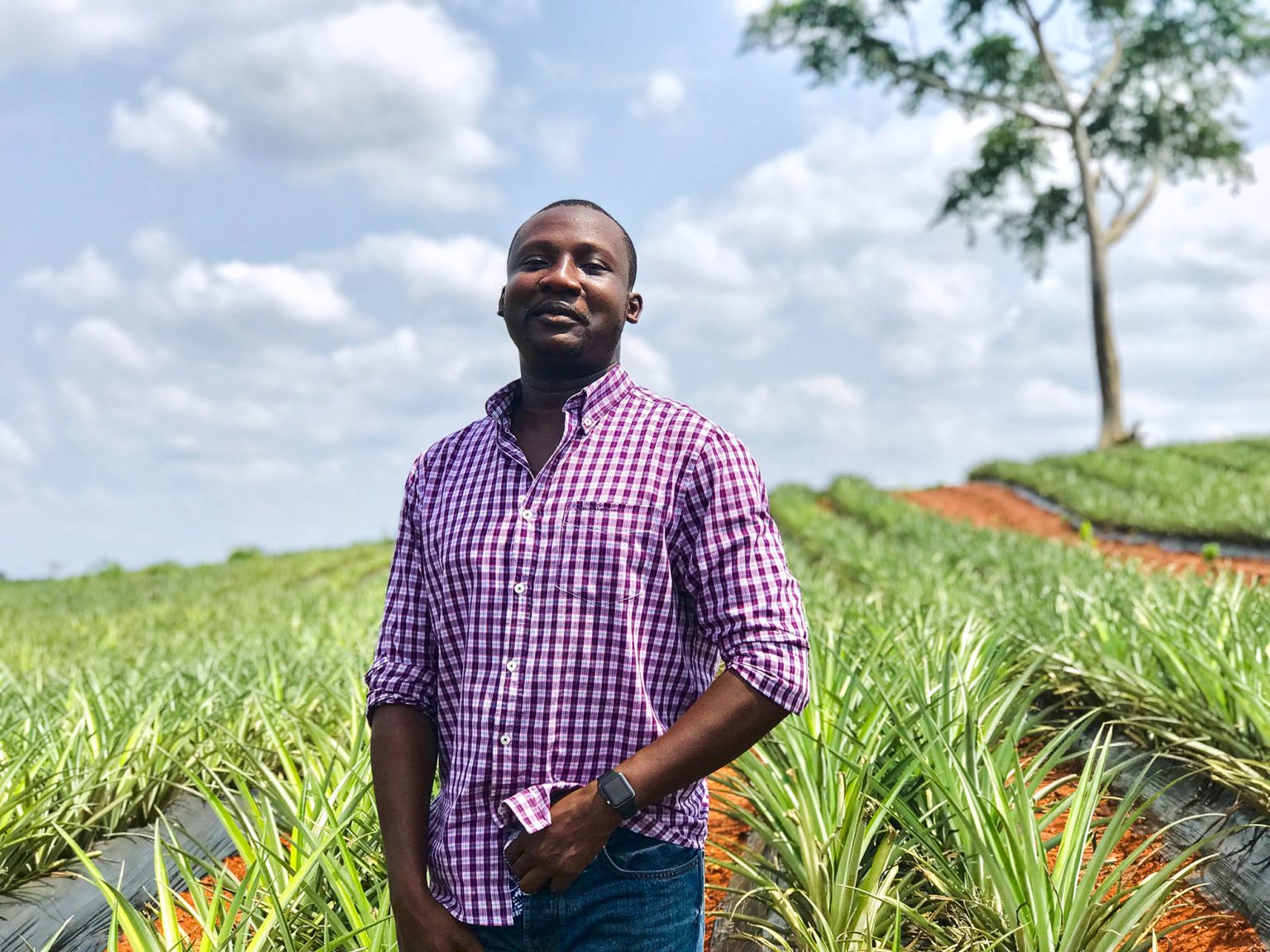 Farming – David Asare Asiamah